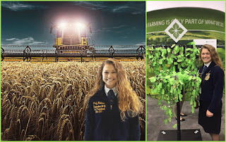 Dignified Moon Pies: FFA: A Legacy