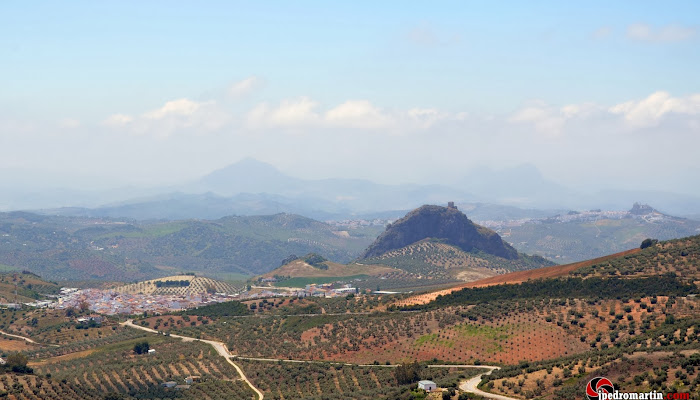 PRUNA - J PEDRO MARTÍN