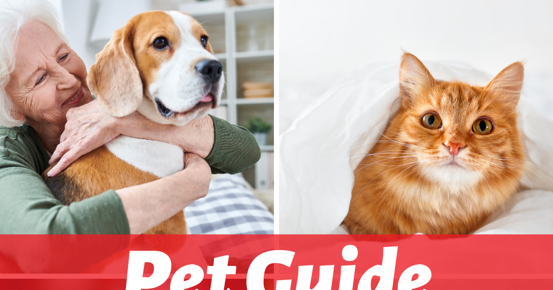 Guide For Pets - Mommy's Block Party