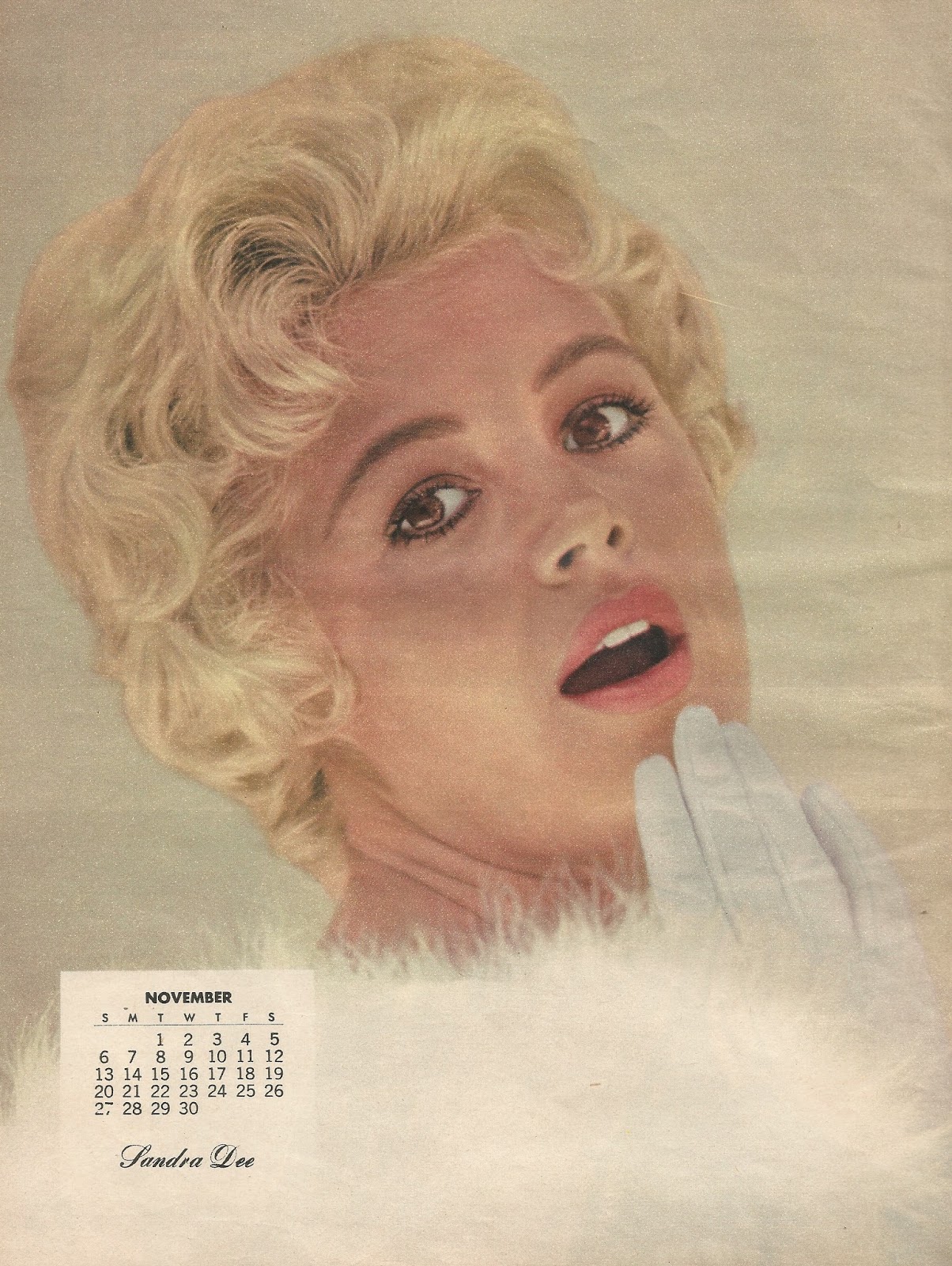 For The Love of History: 1960 Teen Pinup Calendar with Stars of that Era