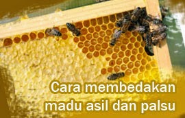 Madu Asli dan Palsu: Cara Mengenalinya | Cara dan Tips