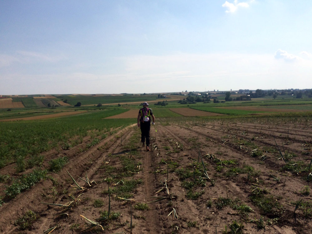 Zorientowana/Zorientowany: Nazwa zobowiązuje!