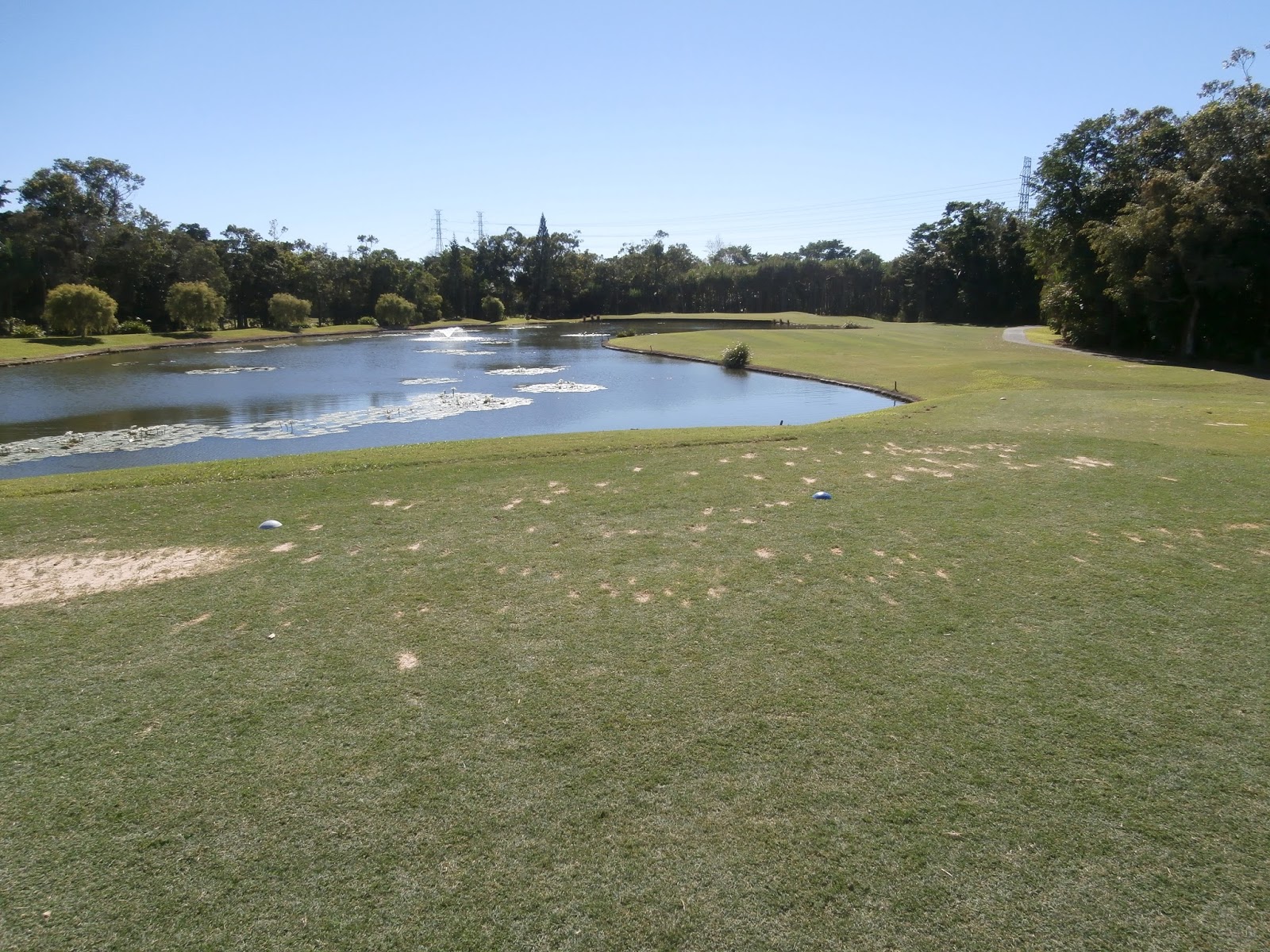 Wauchope Men's Veterans Golf Club: July 2013