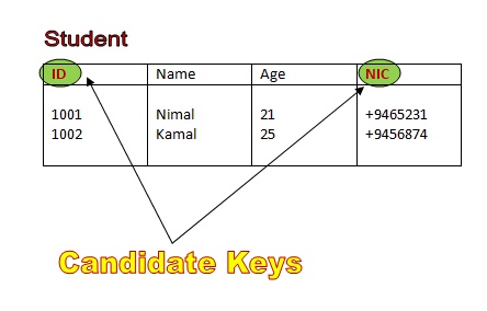 CyberX: Brief About Database Management System (Part - 2)