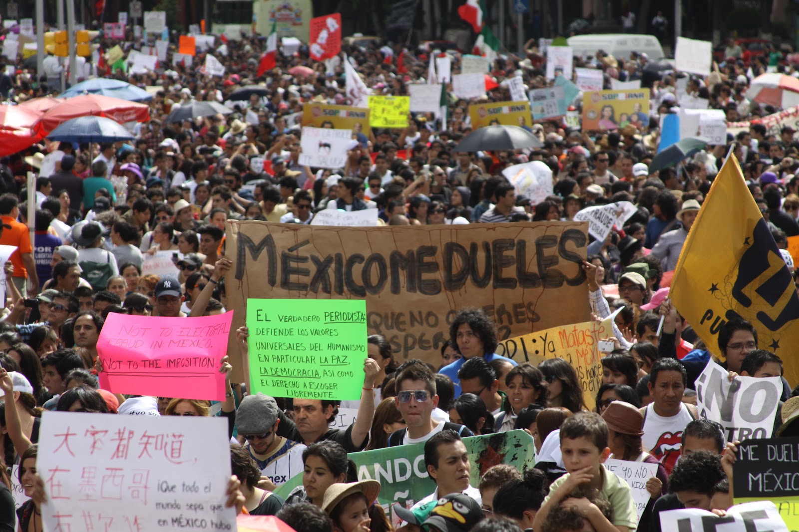 SIN HIJO, NI ÁRBOL, NI LIBRO: México, ¡Me dueles!