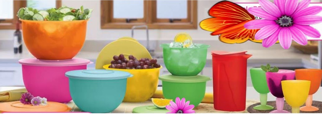 Nilza Costa Vale: Nilza - Tupperware & Natura