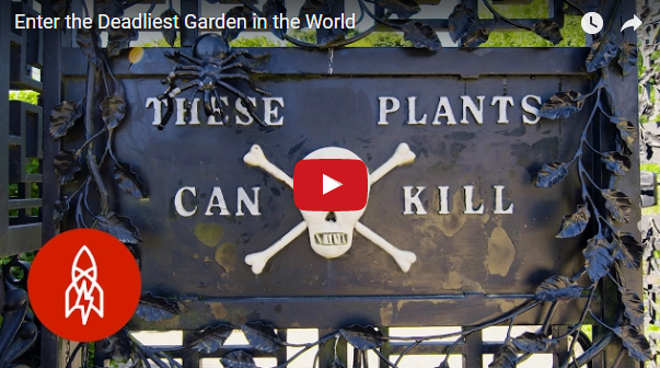 MFS VIRAL VIDS-2: Enter the Deadliest Garden in the World