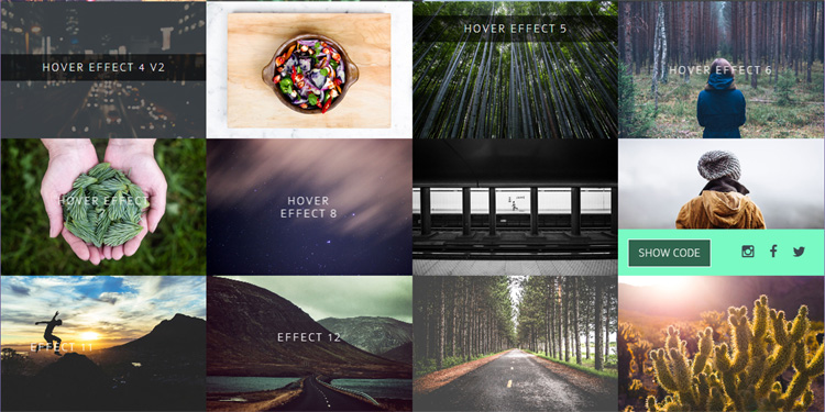 Bootstrap Image Hover On Text ThemePackNet bootstrap-image-hover-on-text-themepacknet
