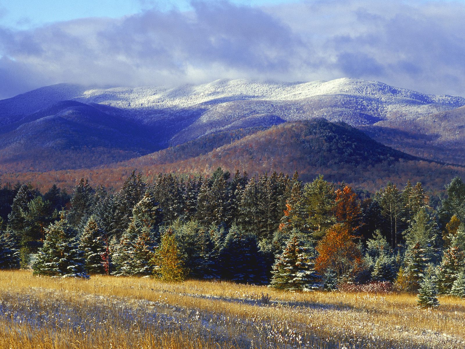 burn spear: No Such Thing as Too Much Adirondack Blogging