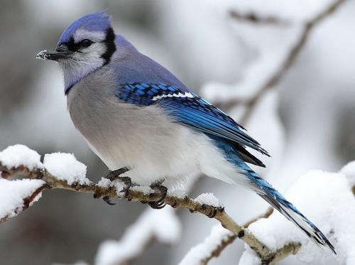 Natureza, Perfeição sem tamanho...
