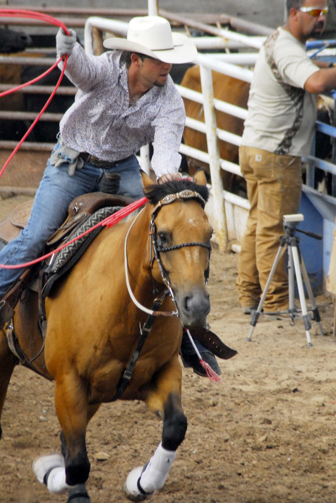 Here's to all about Fruita.: rodeo number 8, 2012