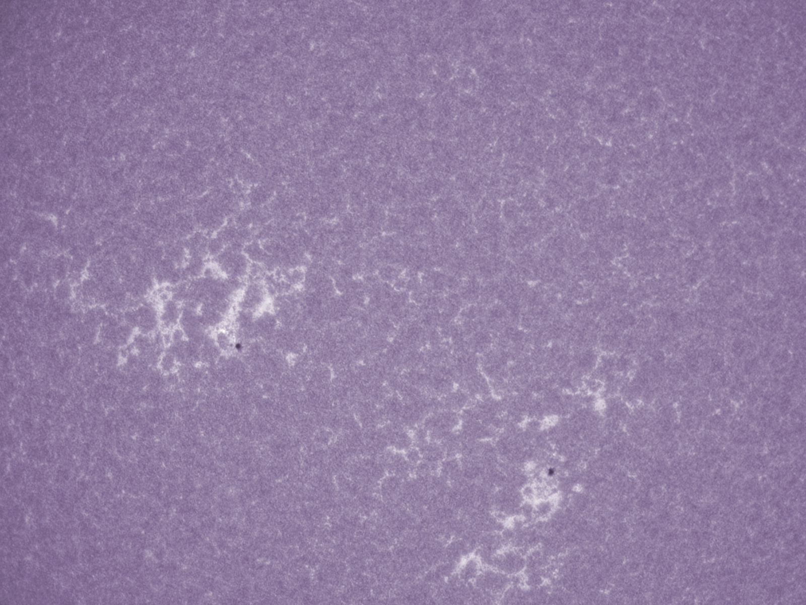 Brierley Hill Solar: AR12685 & AR12686 in Calcium Light - 27th October
