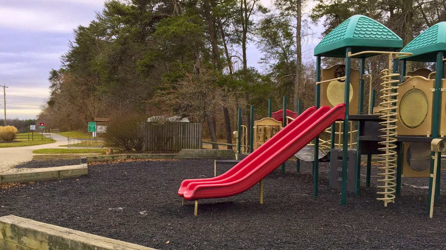 Autumn Walk @ Emerson: BWI Observation Park