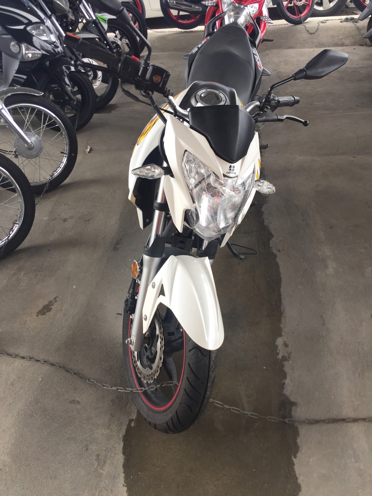 Cedano Motor: Motores