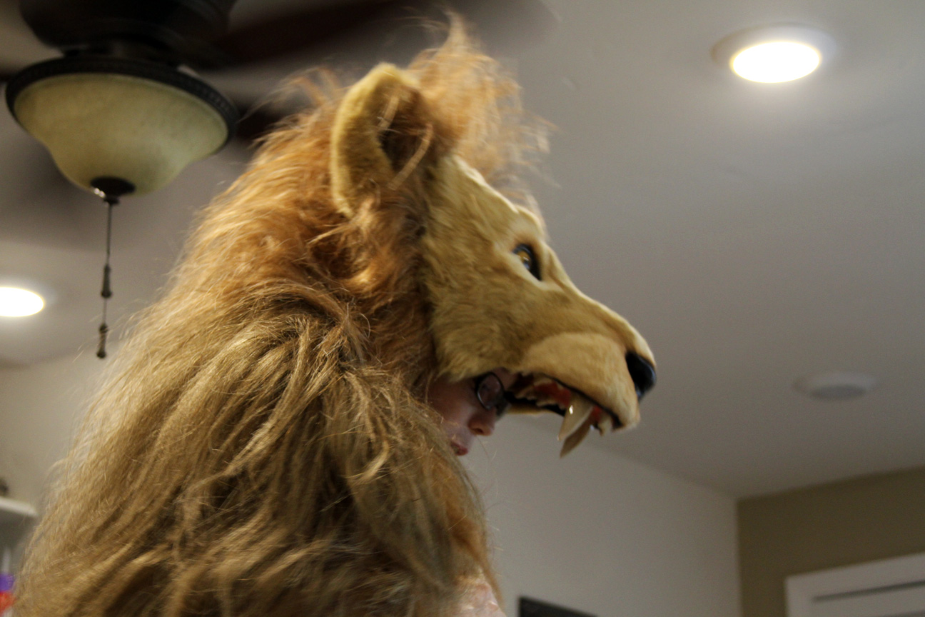 Dragonsquared Studio: Faux-Taxidermy Lion