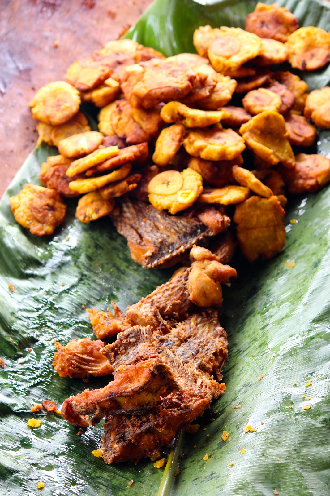 From the Isthmus: Embera in Pictures