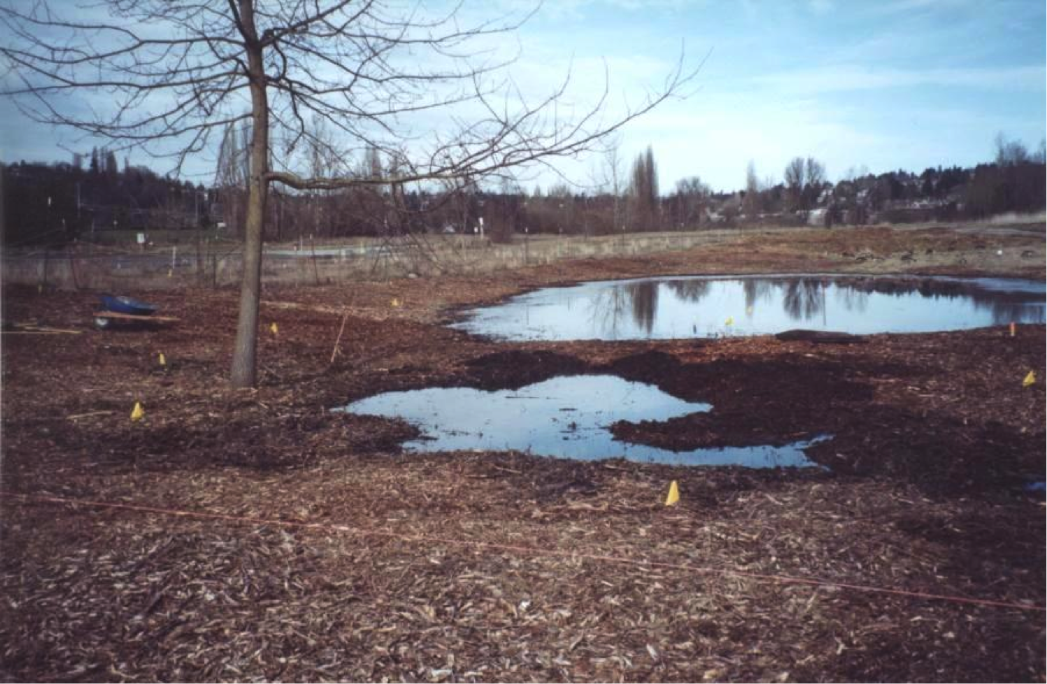 Union Bay Natural Area, ENVIR 280 Journal: Self Guided Tour ...