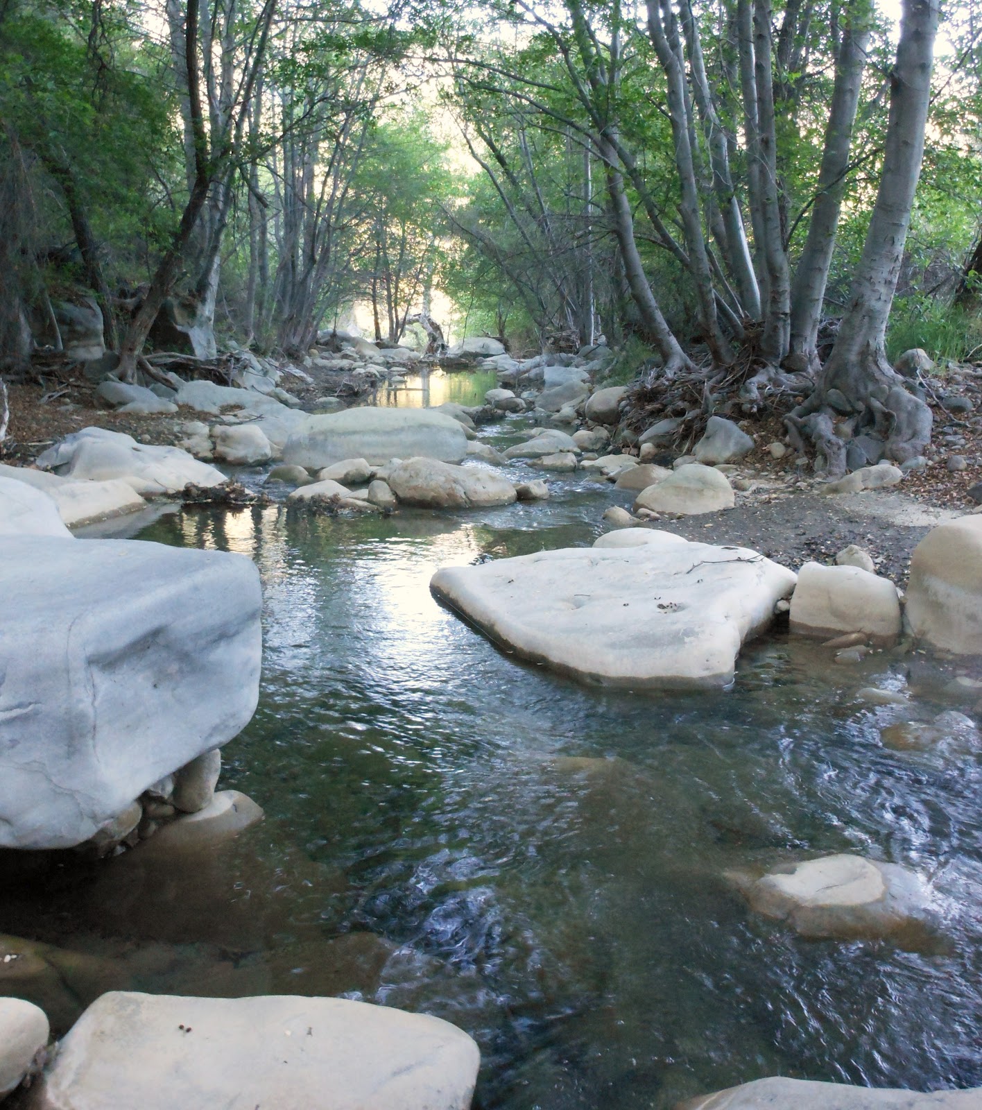 1000 Hikes in 1000 Days: Days 523 & 524: Camping on the Matilija Trail