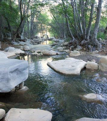 1000 Hikes in 1000 Days: Days 523 & 524: Camping on the Matilija Trail