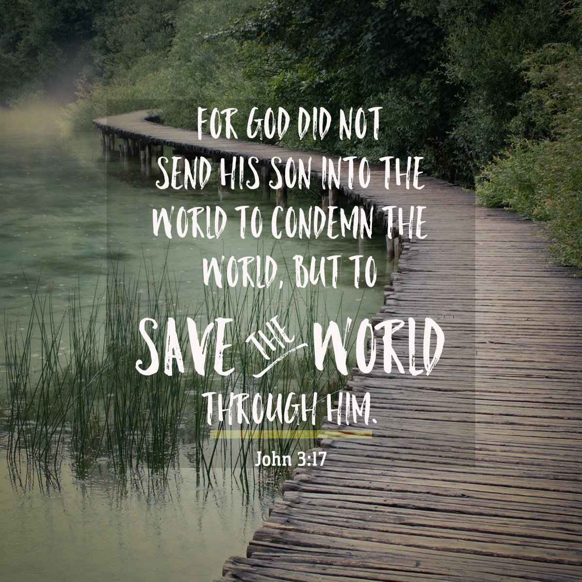 Gray Scripture Picture