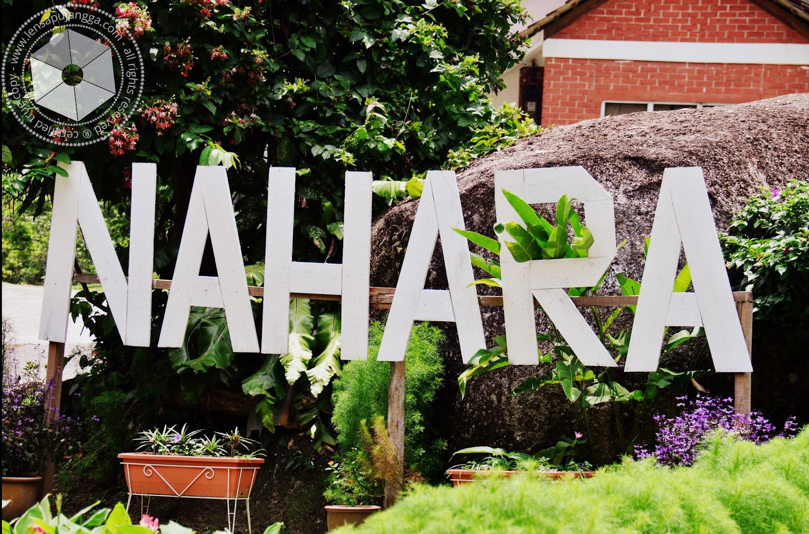 Dari Homestay ke Kalumpang - Lensa Pujangga