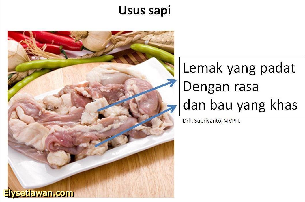 Bagaimana Membedakan Jerohan Sapi dan Babi - Elinotes review