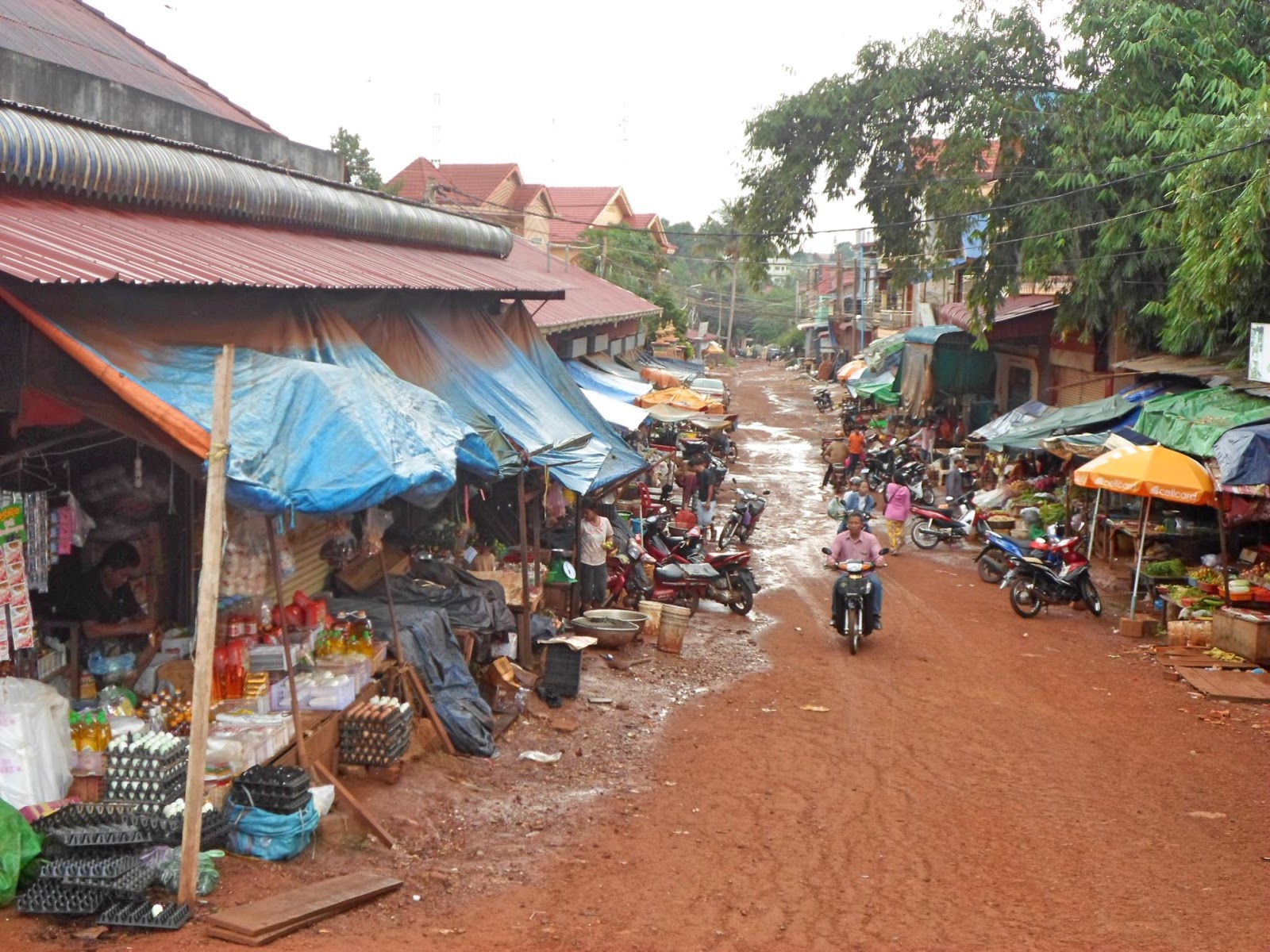 Walk with Sandra: Sen Monorom and Pulong Village, Mondulkiri, Cambodia ...