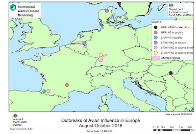 Avian Flu Diary: DEFRA: Avian H5 & H7 In Europe