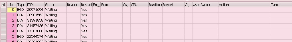 SAP BASIS Crew: ABAP & JAVA stack checks