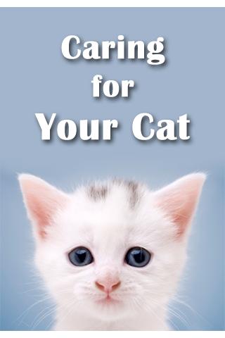 You've Got To Be Kitten Me Right Meow.: How to care for your kitty