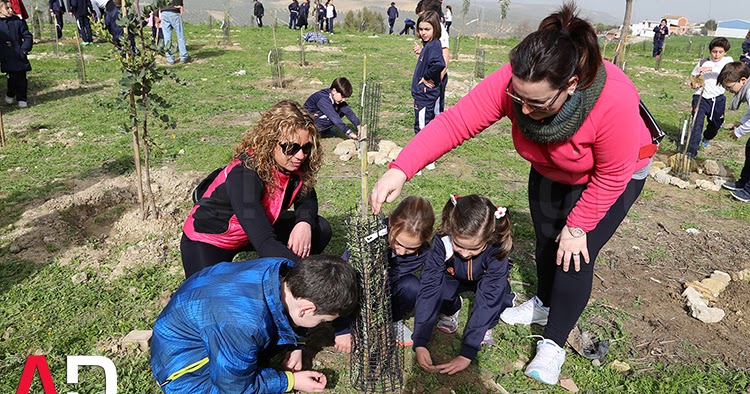 Medio Ambiente cierra su programa de reforestación con una plantación ...