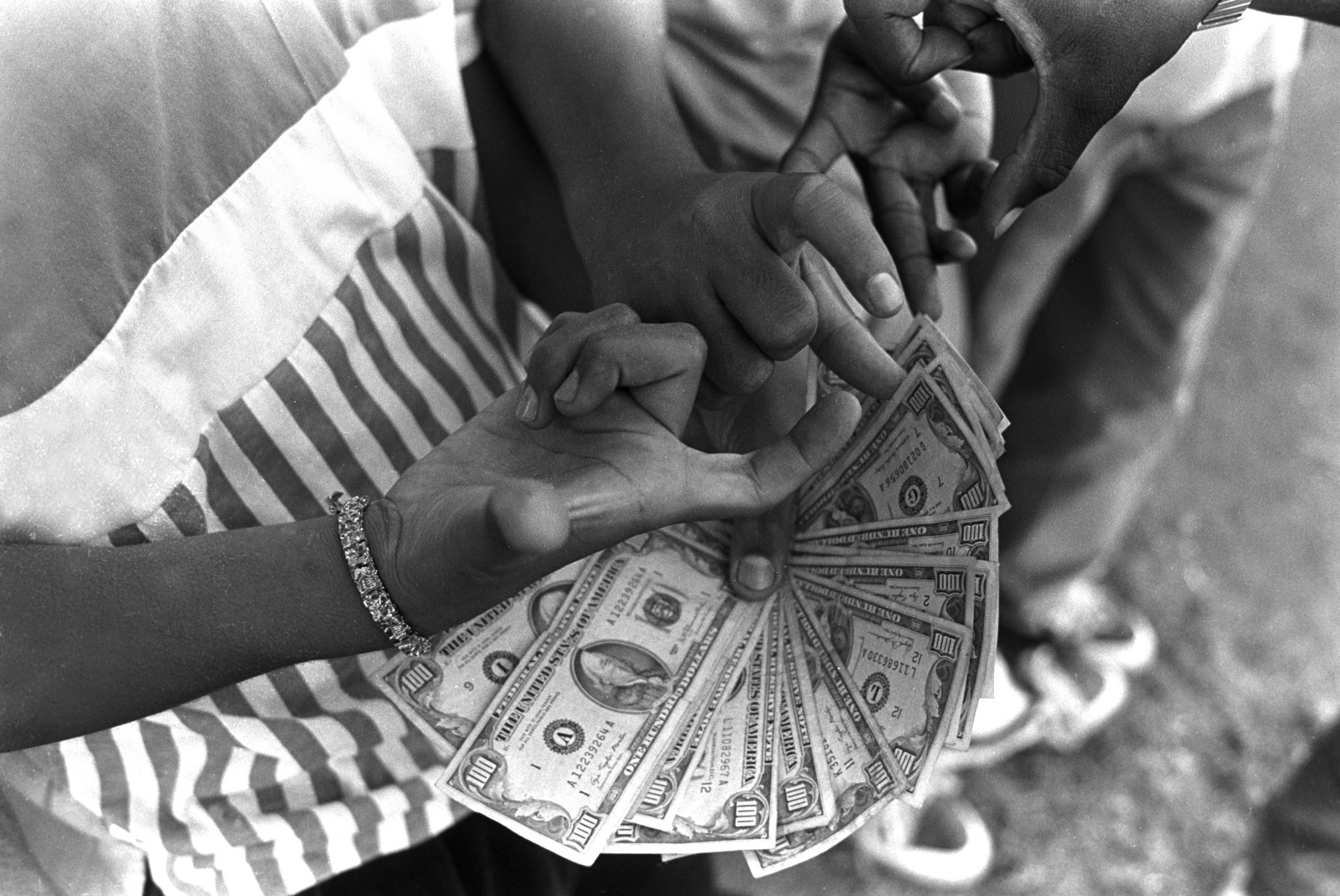 Interesting Black and White Photographs Reveal the Secret Language of ...