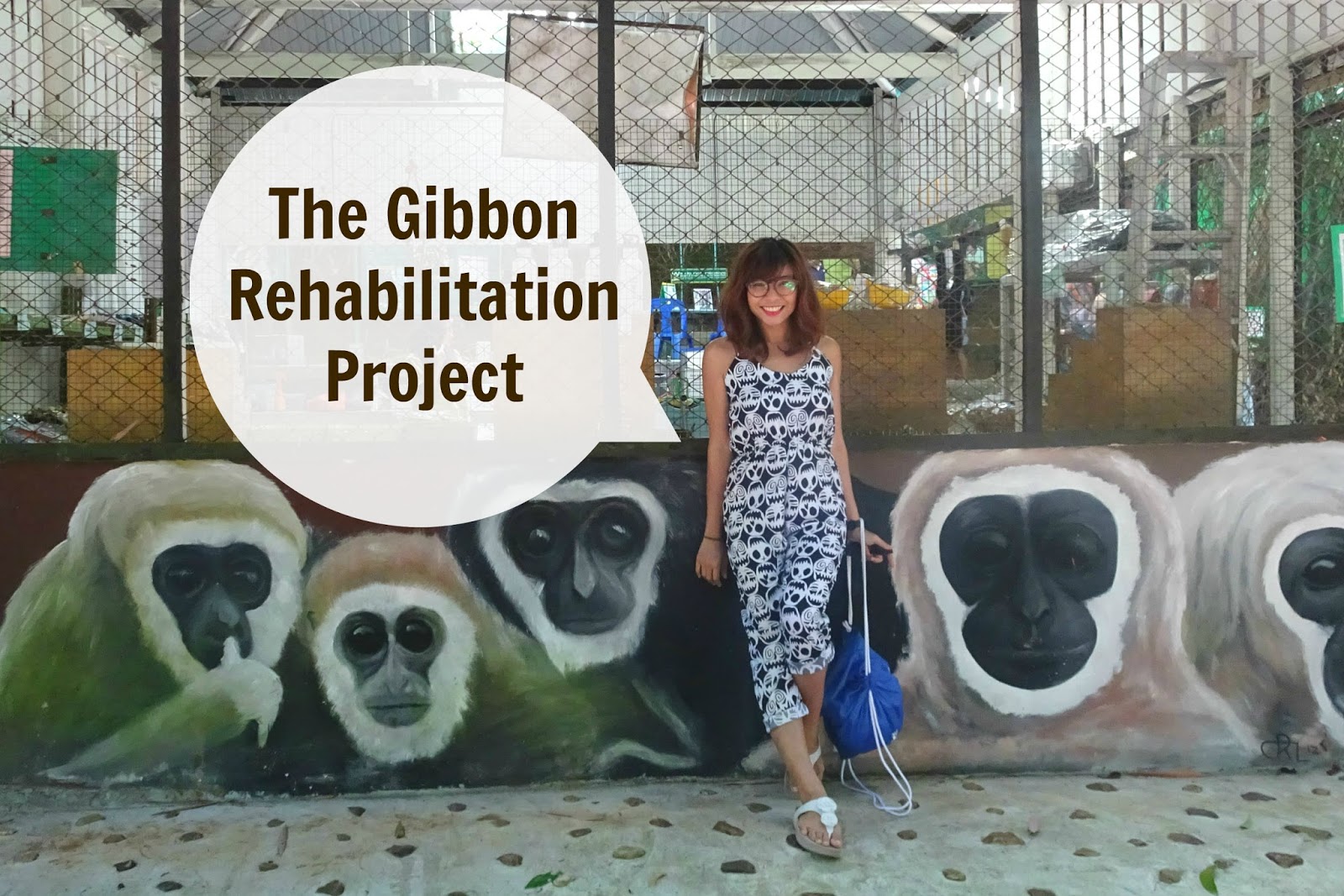 The Gibbon Rehabilitation Project : โครงการคืนชะนีสู่ป่า - A Lady Named ...