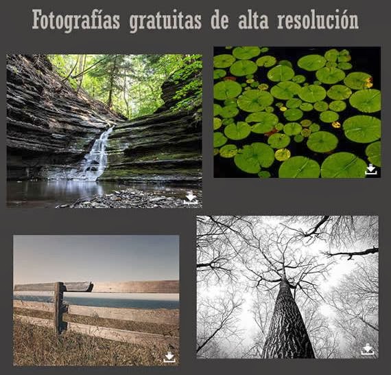 Gratisography. Fotografías gratuitas de muy alta resolución