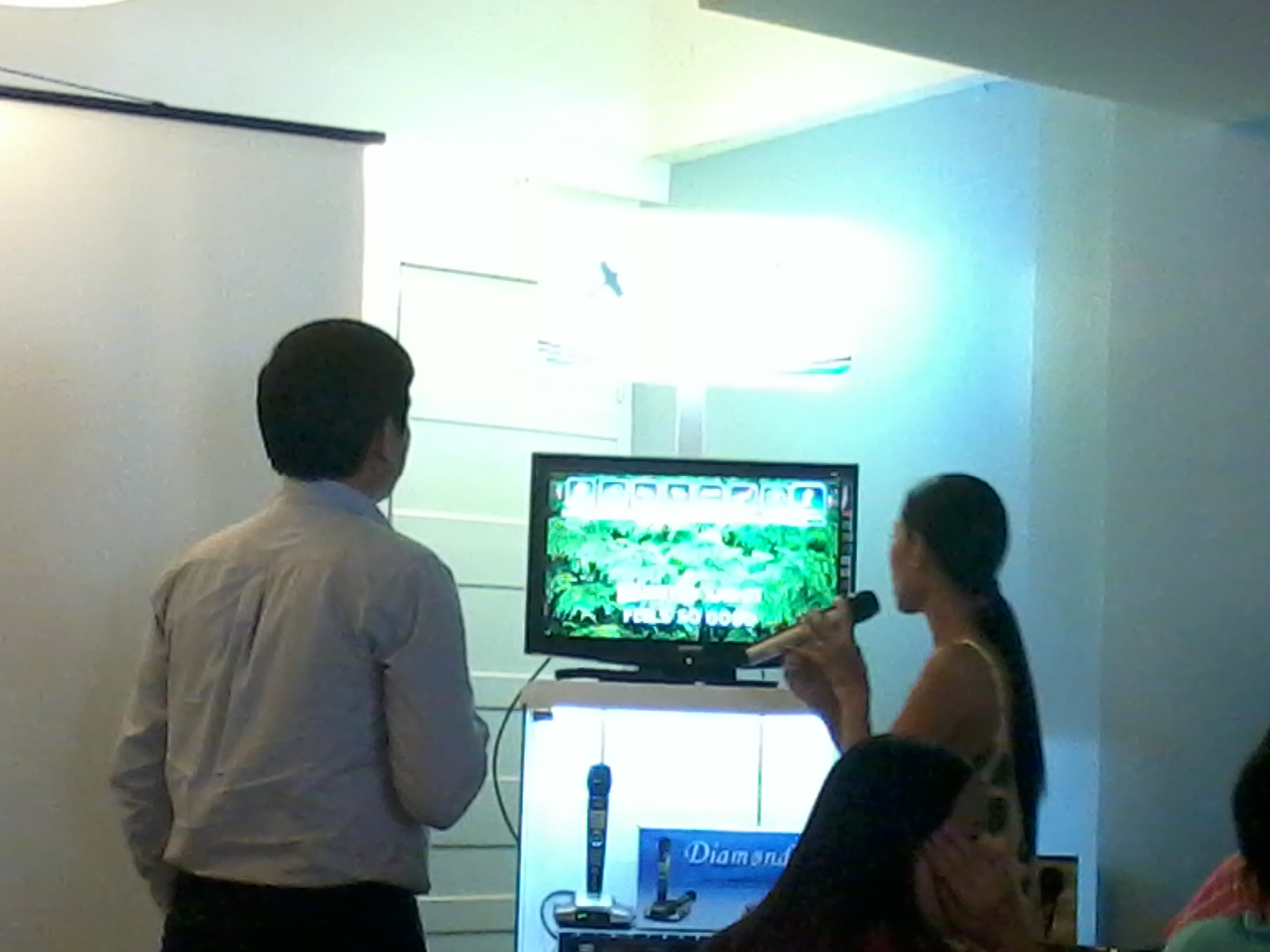 Purple Plum Fairy: Xtreme Magic Sing for a True Concert Experience