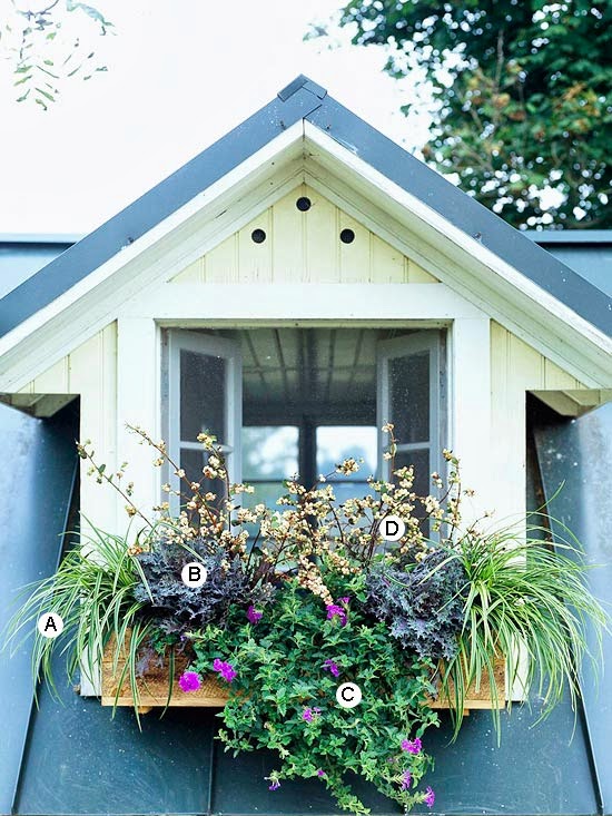 Home Interior: Easy, Beautiful Window Boxes for Sun