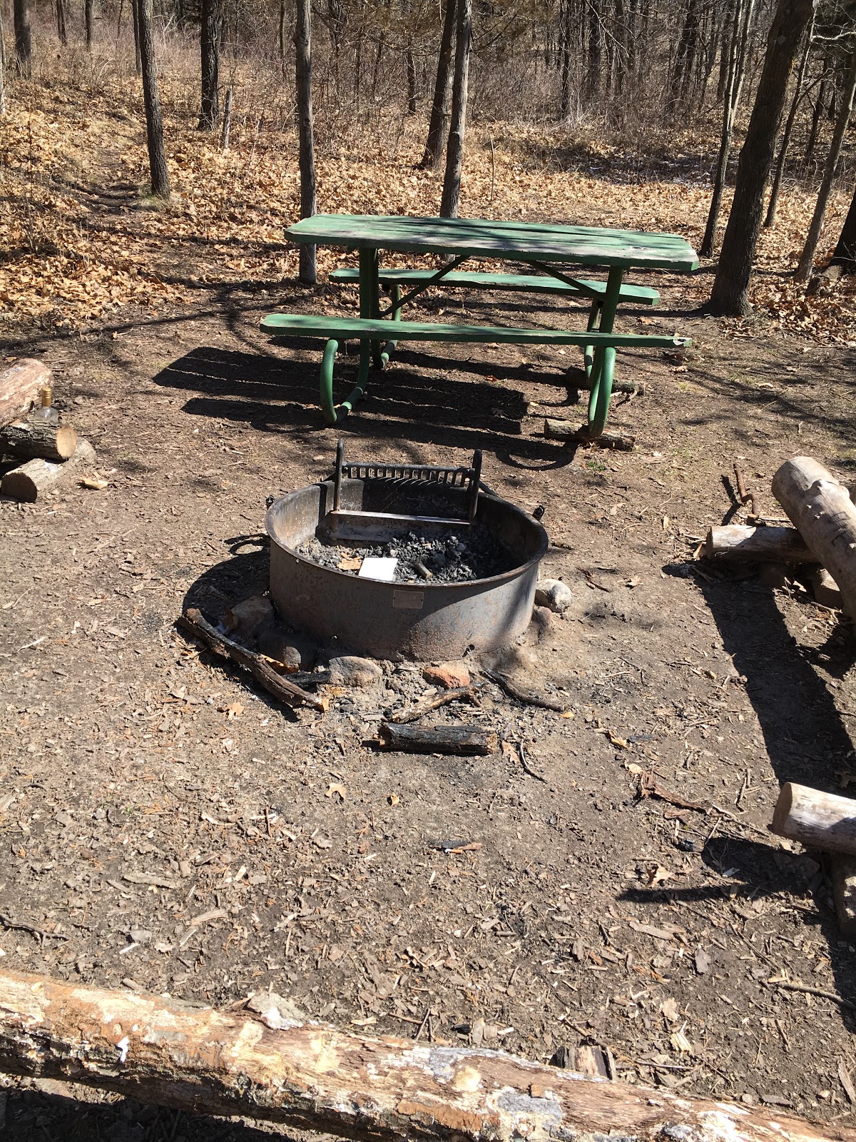 Backpacking Stephens State Forest - Woodburn Unit West Loop