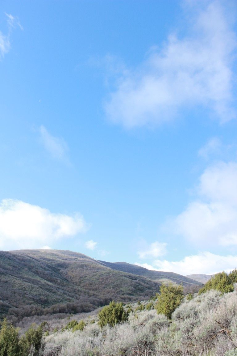 Smaug's Musings: Shane Roe's Writings: Hiking: Yellow Fork Canyon