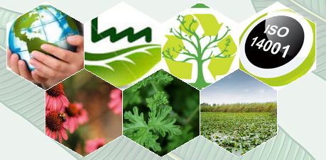 Sistemas de Gestión: SISTEMA DE GESTIÓN AMBIENTAL