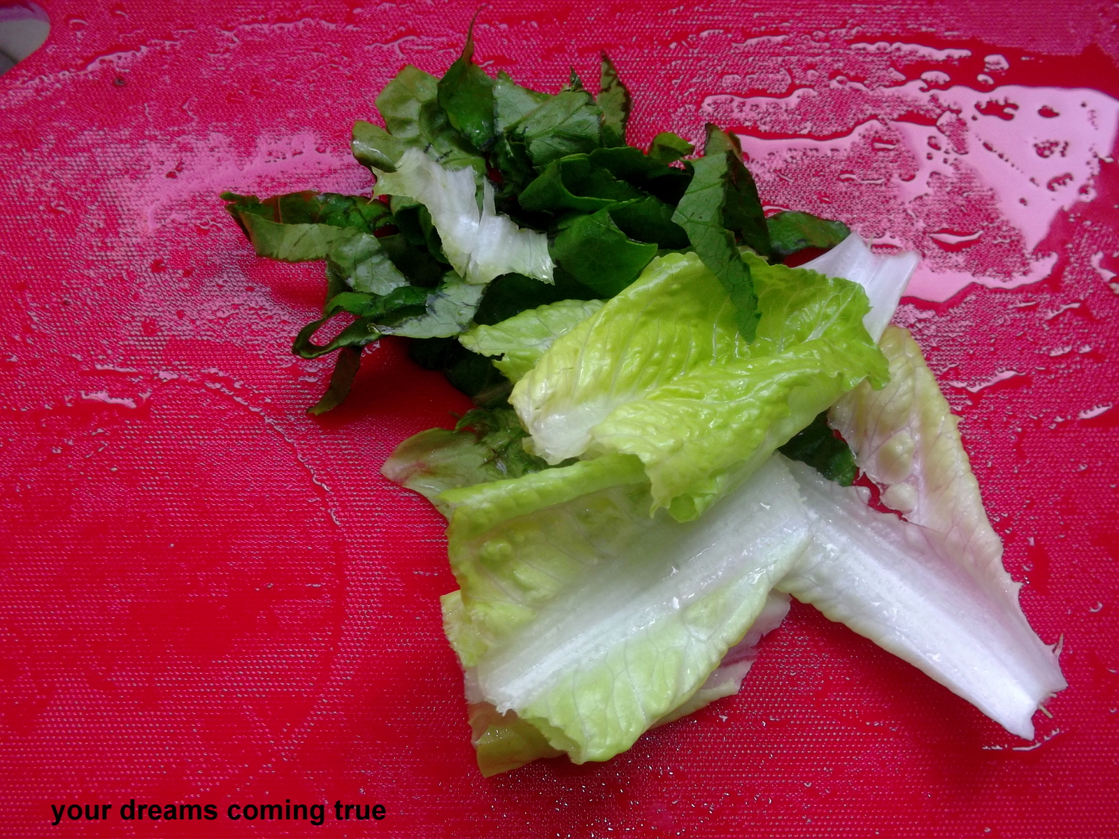 Egyptian Fool Medammess Beans With Tahini, Tomato / Lettuce Salad ...