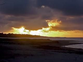 A Nova Cara do Sertão: Itarema: uma riqueza litorânea