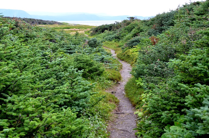PeeWee Travels: Newfoundland - 16-17/14 - Tablelands and Green Point NP
