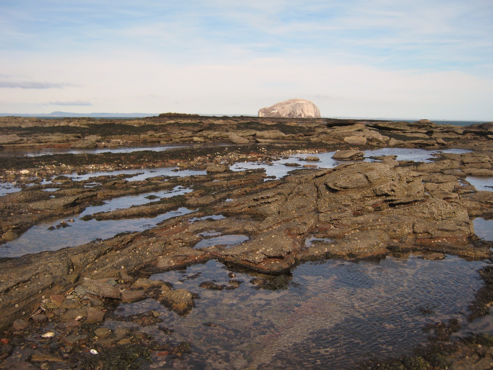 coastrider: Spring Tides Beach Rides...