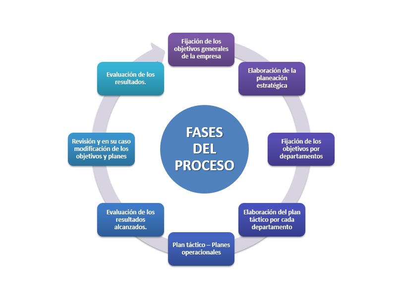 APO: fases del proceso.
