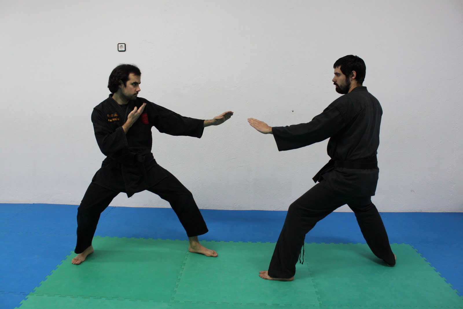 NINJUTSU 忍術: TÉCNICAS 技