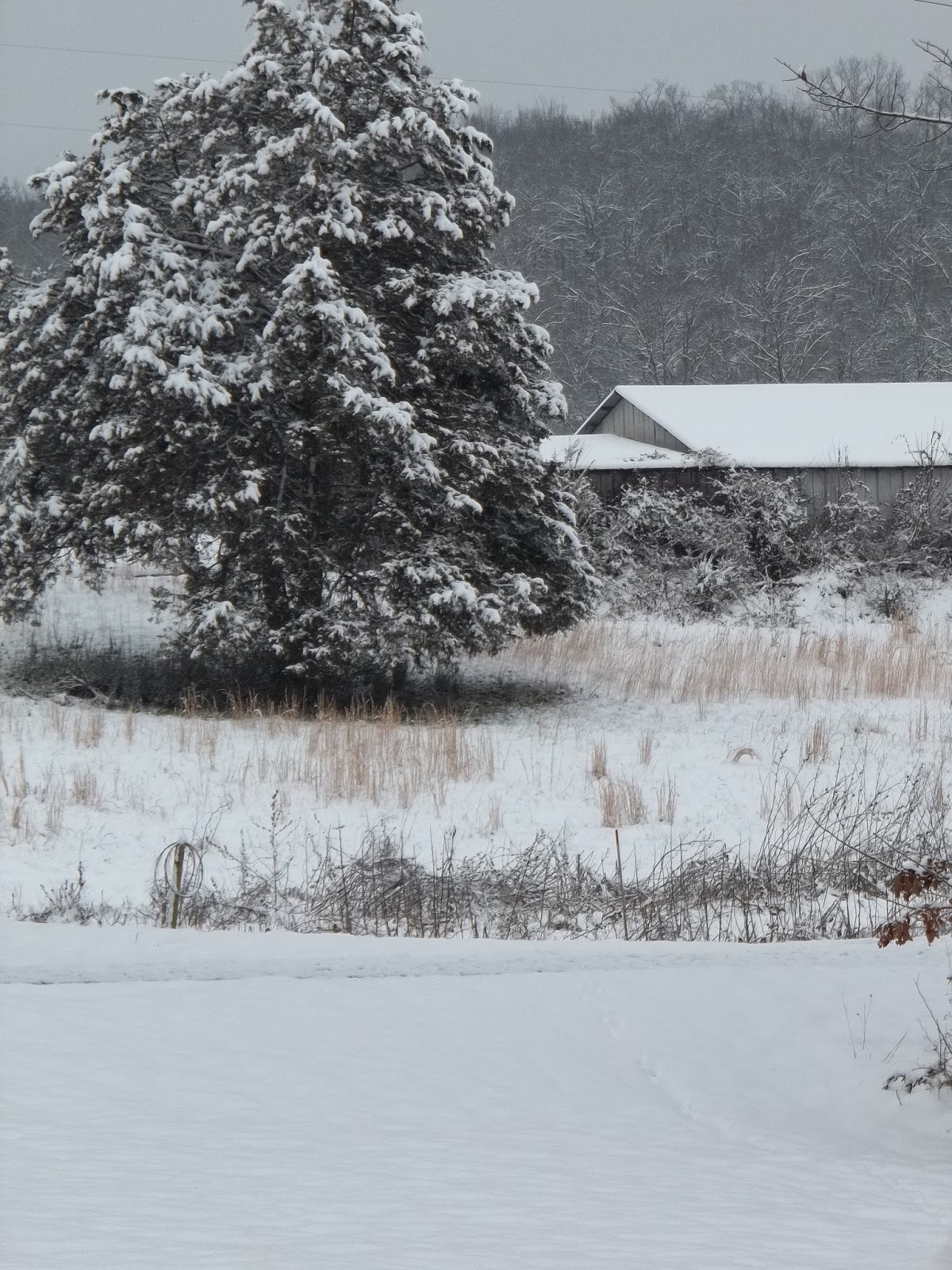 Blue Ridge Poet: Blue Ridge Mountains' Snow