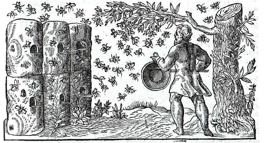 Buzzing Across America: Beekeeping Through the Ages