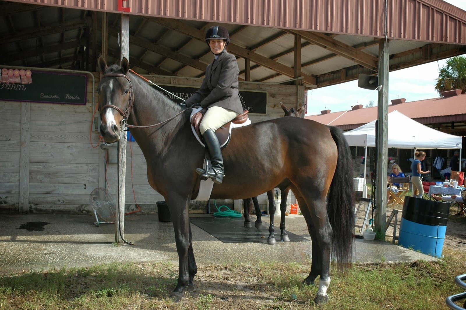 Paradigm Farms Horse Retirement: Levendi