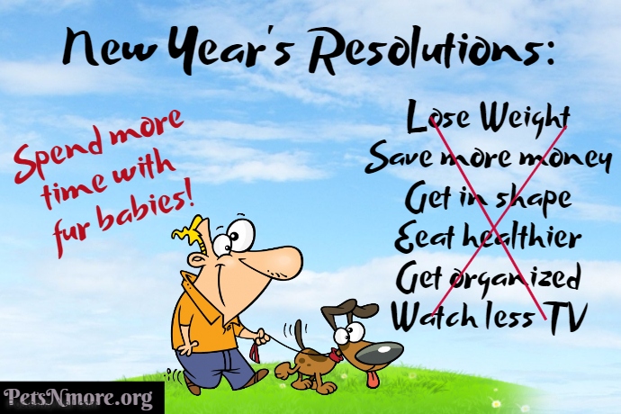 Pets N More: Top 8 Pet New Year's Resolutions for 2017