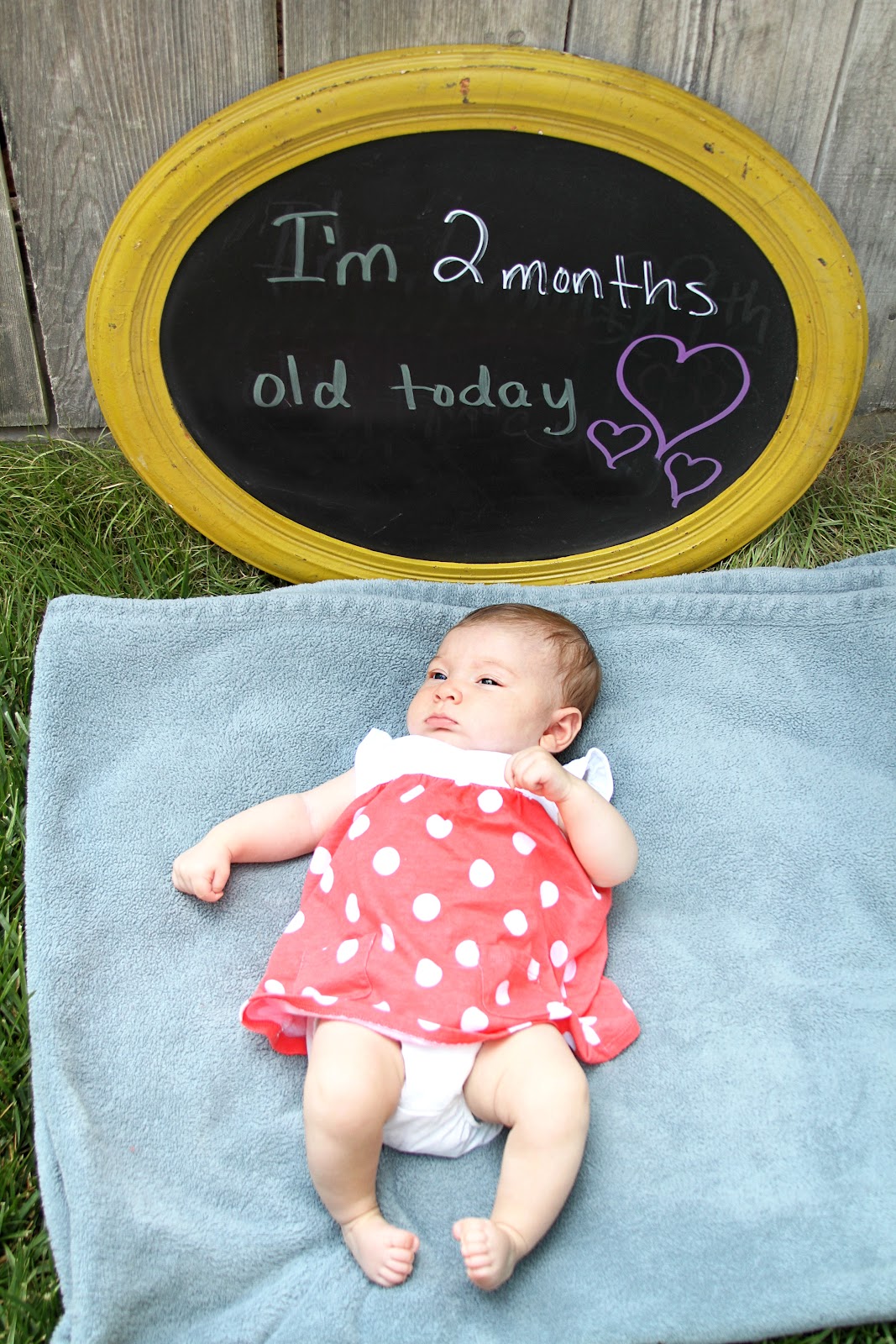 Kelly Knapp Photography